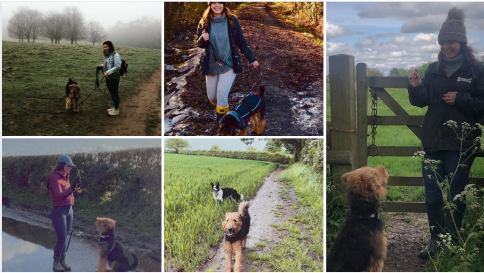 About – Bespoke pet behaviour support